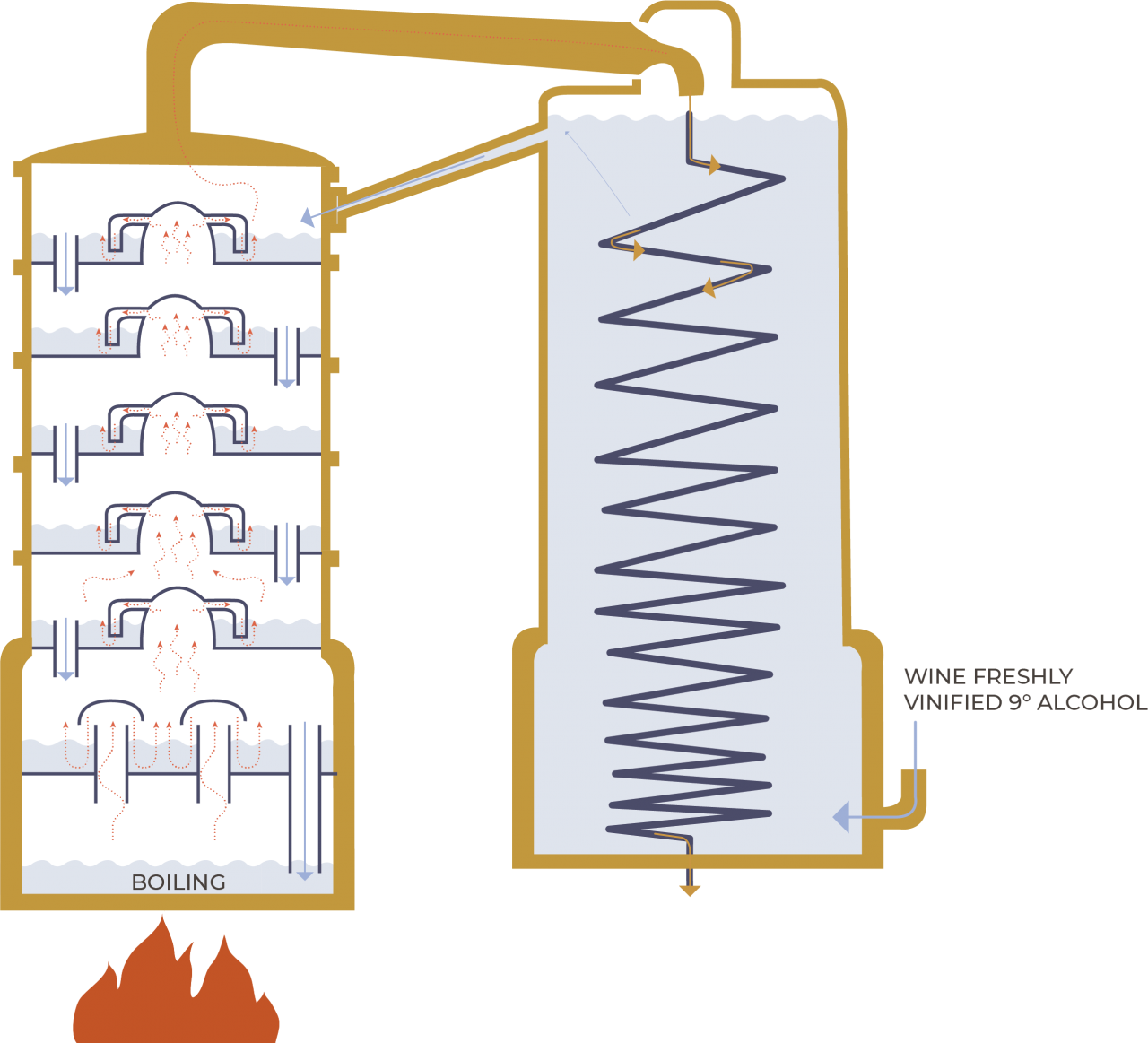 Armagnac, Cognac, Whisky: What is the Difference? - Arton, Haut ...