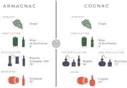 What is the difference between Armagnac and Cognac? - Arton, Haut ...